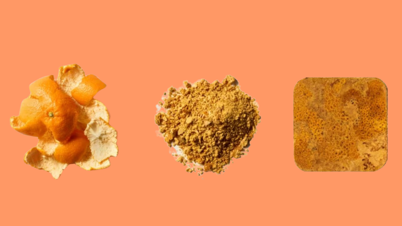 Snack on This: Food Waste Transformed into Edible Concrete